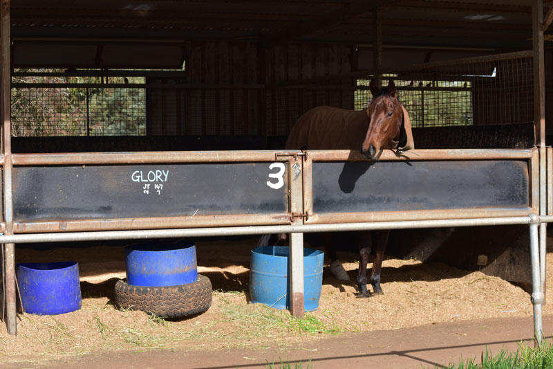 Patrick Payne Racing provides a variety of stabling options to suit all ...