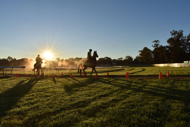 Patrick Payne Racing provides a variety of stabling options to suit all ...