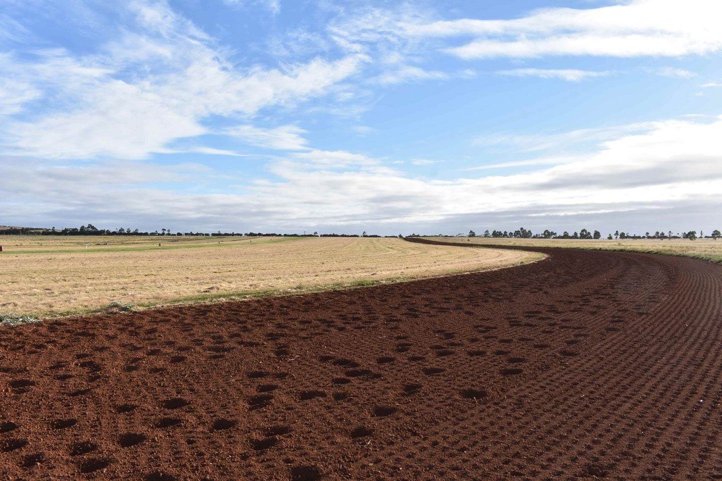 Patrick Payne Racing offers variety for horses with a practical paddock ...