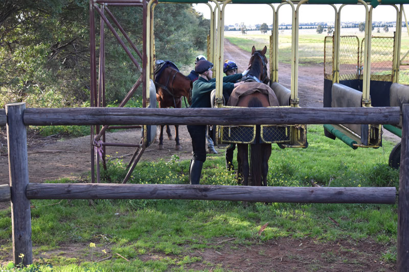 Patrick Payne Racing provides a variety of stabling options to suit all ...