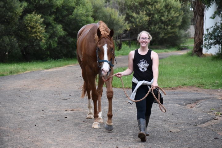 Patrick Payne Racing offers variety for horses with a practical paddock ...