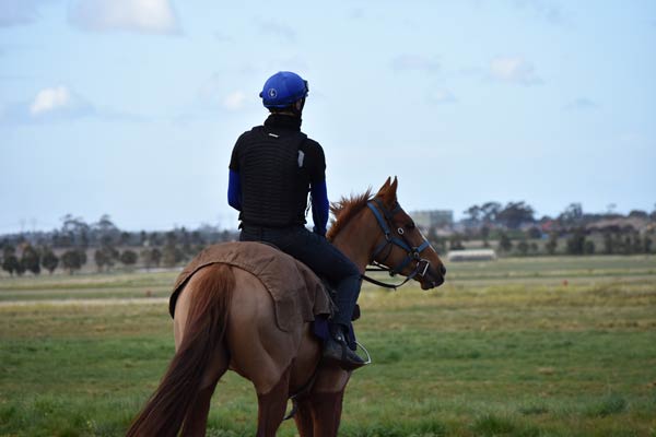 Patrick Payne Racing provides a variety of stabling options to suit all ...