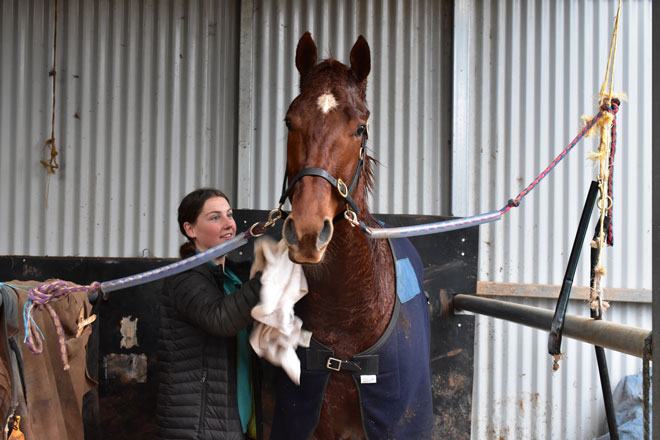 Patrick Payne Racing provides a variety of stabling options to suit all ...