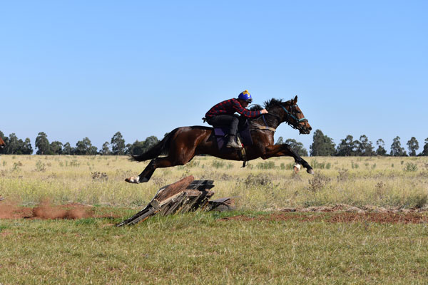 Patrick Payne Racing provides a variety of stabling options to suit all ...