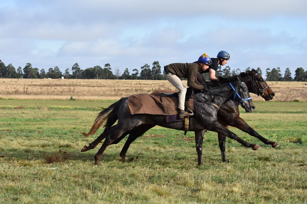 Patrick Payne Racing provides a variety of stabling options to suit all ...