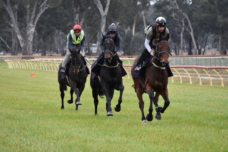 Patrick Payne Racing provides a variety of stabling options to suit all ...