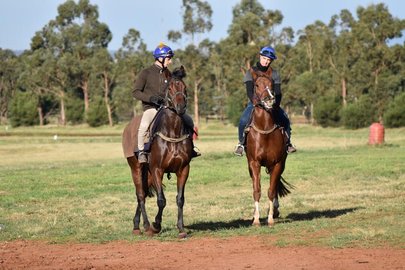 Patrick Payne Racing provides a variety of stabling options to suit all ...