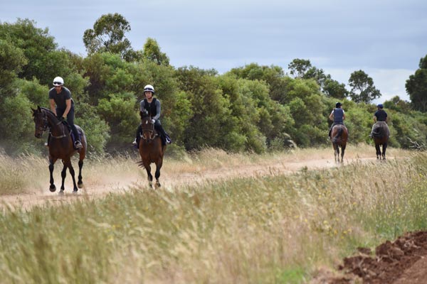 Patrick Payne Racing offers variety for horses with a practical paddock ...